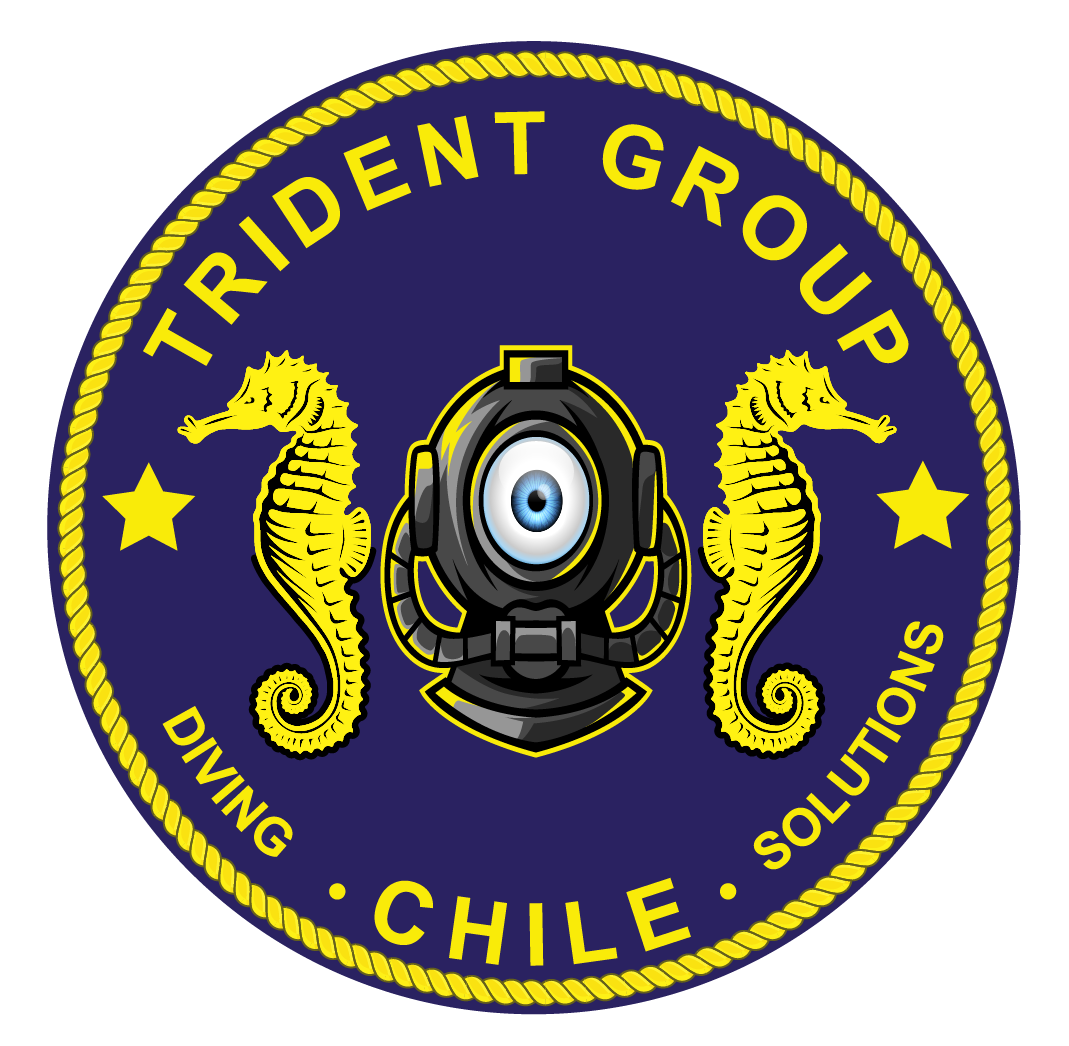 Projects – Trident Group Chile